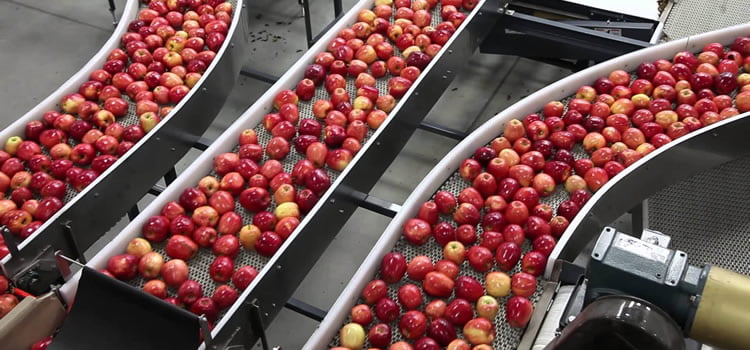 Apple Processing Wastewater - SciCorp